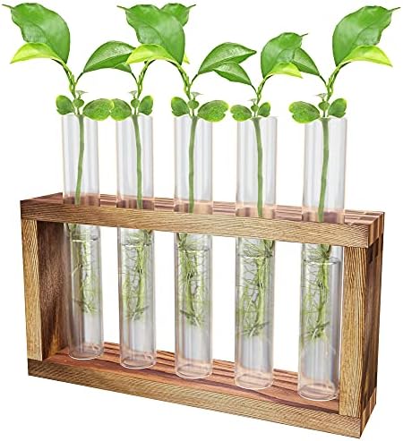 Amazon.com: Plant Propagation Stations by Yaznow - Hanging Wall Mounted ...