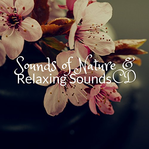 Amazon.com: Sounds of Nature & Relaxing Sounds of Nature CD : Wake Up ...