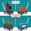Plantex Luggage Trolley/Trolley for Goods Carrying/Multipurpose ...