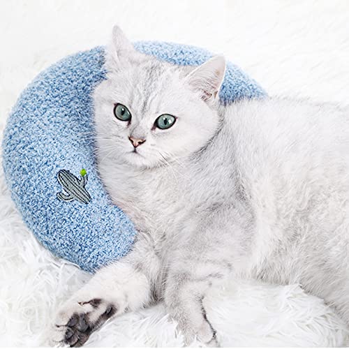 Pillow Foot In Cats – De 15 bästa produkterna jämfört - Wild Explained