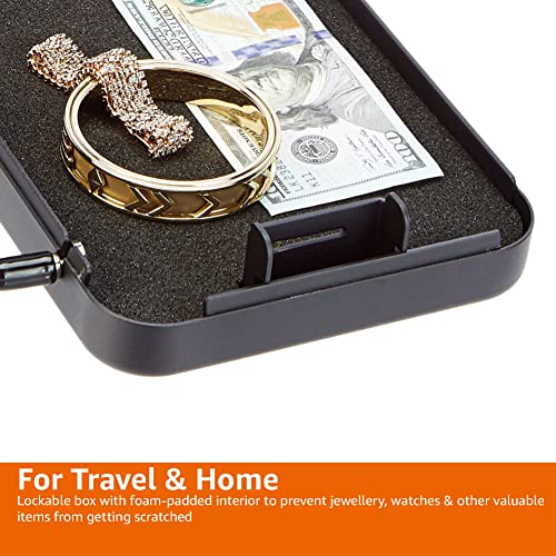 Snapklik.com : Basics Portable Security Case Lock Box Safe