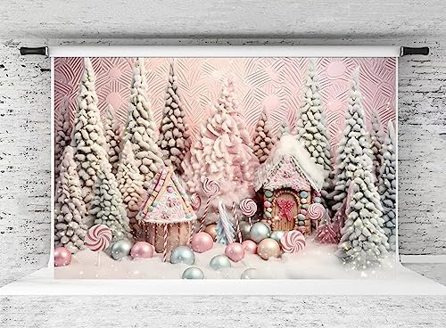 Amazon.com : Kate 7x5ft Merry Christmas Candy Shop Backdrops for ...