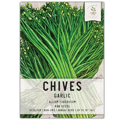 How to Grow Chives: Expert Advice for a Thriving Herb Garden - Peace ...
