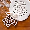 Amazon.com: Sea Turtle cookie cutter, 1 piece - Bakerlogy: Home & Kitchen