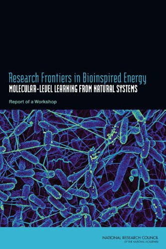 Research Frontiers in Bioinspired Energy: Molecular-Level Learning from ...