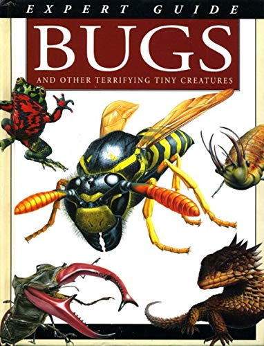 Bugs and Other Terrifying Tiny Creatures: Hammond, Paula: 9781840138146 ...