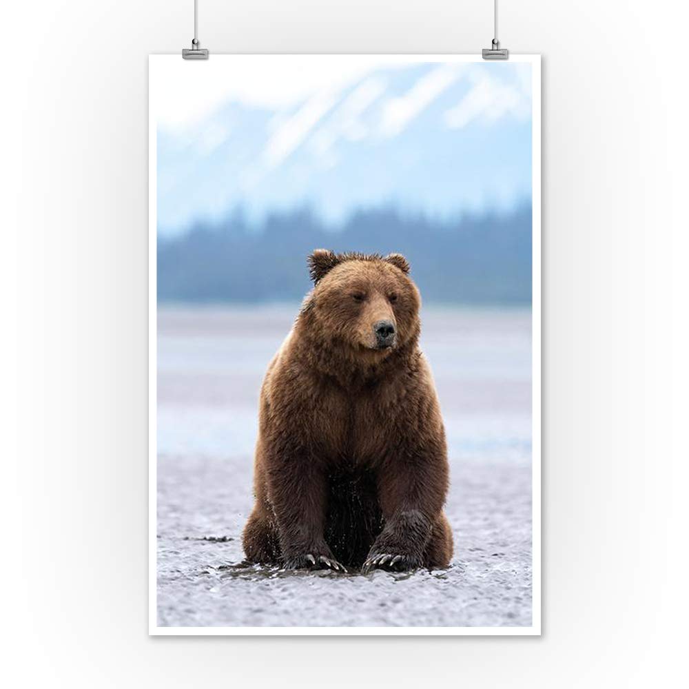 Sitting Grizzly Bear