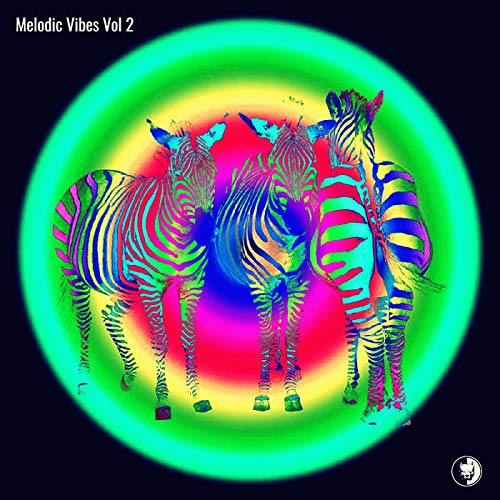 Amazon.com: Melodic Vibes Vol 2 : Various artists: Digital Music