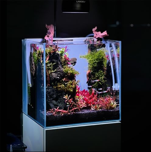 10 Best AIO Cube Aquariums: Reviews and Buying Guide for Your Aquatic ...
