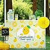 Amazon.com: Windkream 45" x 31" Lemonade Tablecloth for Lemonade Stand ...