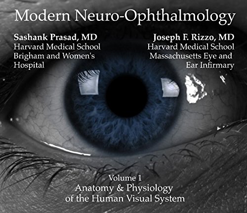 Modern Neuro-Ophthalmology: Anatomy & Physiology of the Human Visual ...