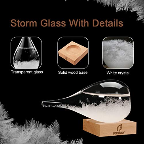 Storm Glass Barometers Storm Cloud Weather Forecast Bottle, Weather ...