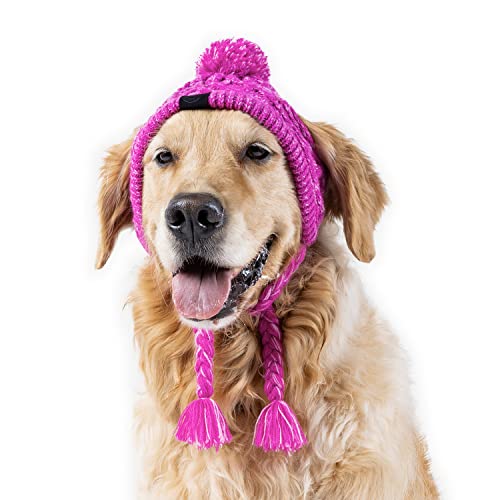 7 Stylish Dog Beanies for Winter Hat Warmth