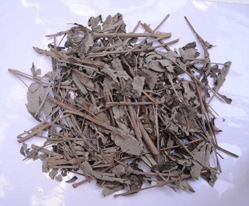 SriSatymev Sambhalu | Nirgundi | Vitex Negundo (Dried Leaves), 100g ...