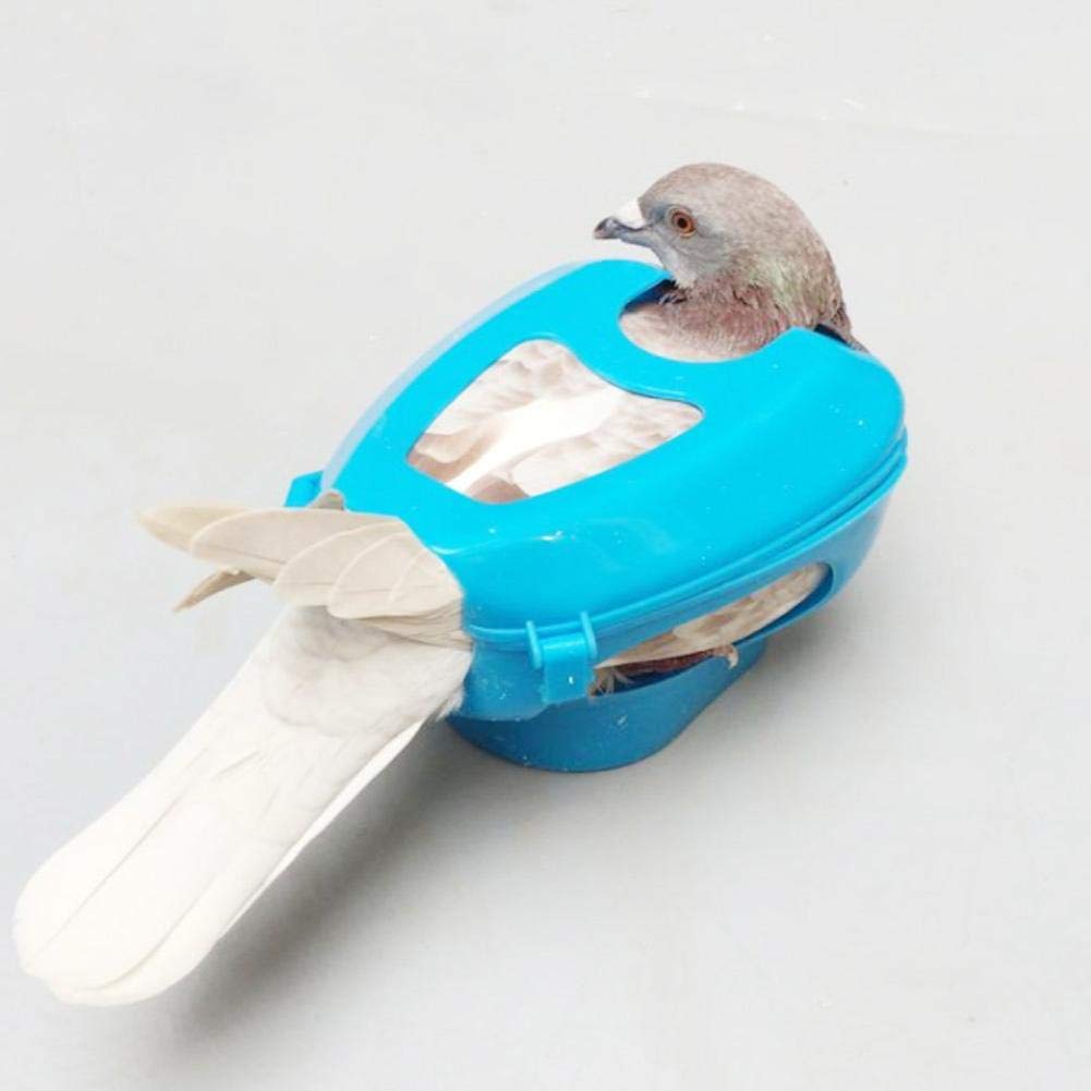 Snapklik.com : Pigeon Holder, Pigeon Injection Holder Plastic Easy ...