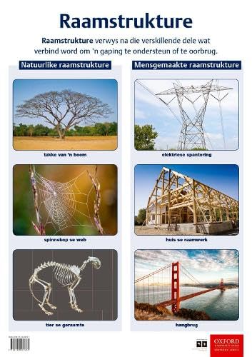 Raamstrukture: Graad 4 : Amazon.in: Books