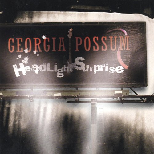 Amazon.com: headlight suprise : Georgia Possum: Digital Music