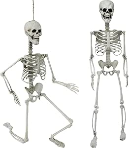 Amazon.com: 28" Halloween Skeleton, Full Body Halloween Skeleton with ...