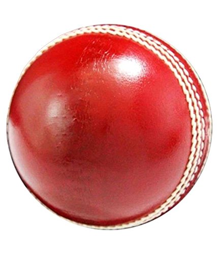 AJ Red Test Cricket Ball Pack of 21 : Amazon.in