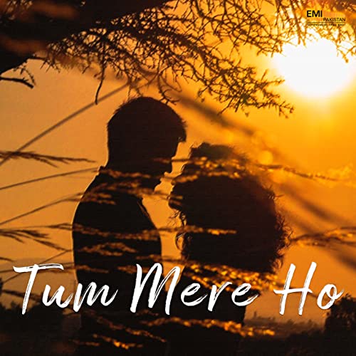 Écouter Tum Mere Ho (Original Motion Picture Soundtrack) par Robin ...