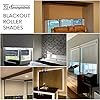 Amazon.com: Springblinds 100% Blackout Roller Shade Slow Rise Spring ...