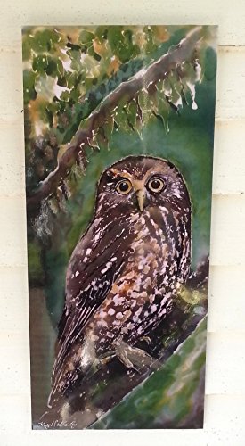 Amazon.com: RURU. MOREPORK New Zealand Native Owl. OUTDOOR Wall ART ...