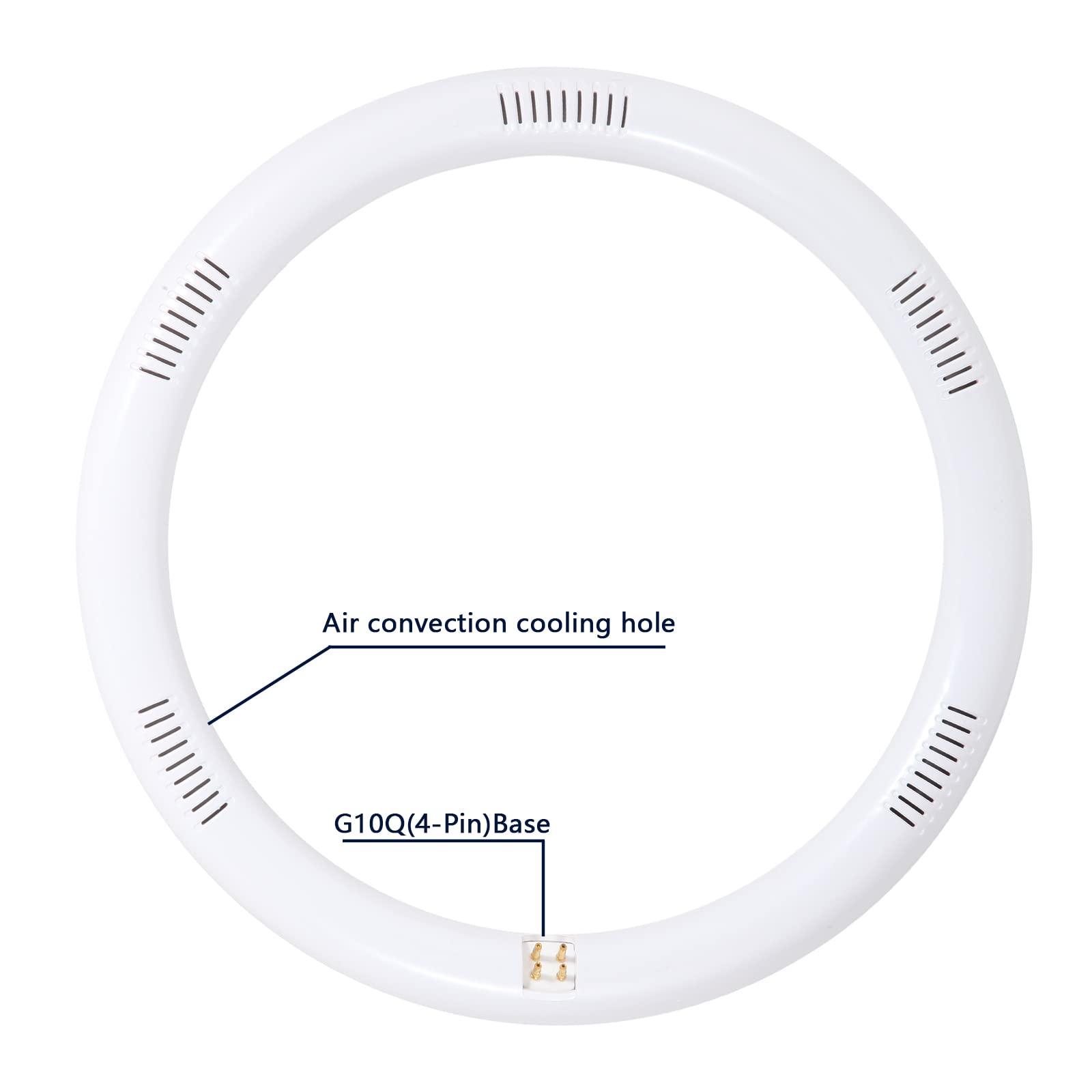 Circle Fluorescent Light Wiring Circle 6 Pack 24 Inch T8 Fluorescent