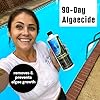 Amazon.com : Copper Pool Algaecide for Swimming Pool - 90 Day Algaecide ...