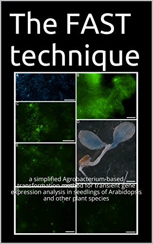 The FAST technique: a simplified Agrobacterium-based transformation ...