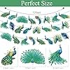 Amazon.com: Peacock Party Banner Peacock Birthday Party Decorations ...