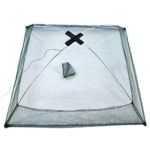 Fisch Senke – Die 16 besten Produkte im Vergleich - Die besten Angel ...