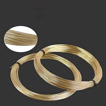 Amazon.com: Two Pieces of Windshield Cut-Out Wire Length 20 Meters, (2 ...