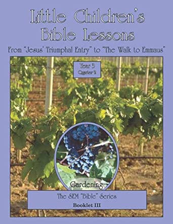 Little Children's Bible Lessons Year 3 Quarter 2: Ministry, SonLight ...