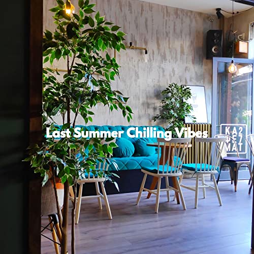 Play Last Summer Chilling Vibes by Cafe Restaurant Music & Jazz ...