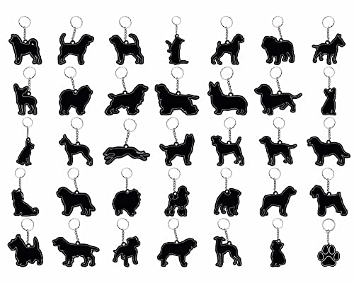 Dog Acrylic Key Rings 34 designs to choose from : Amazon.co.uk: Fashion