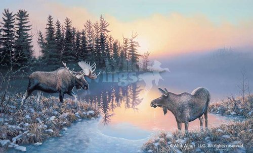 Cold Start - Moose Limited Edition Print by Jim Kasper: 0646749116499 ...