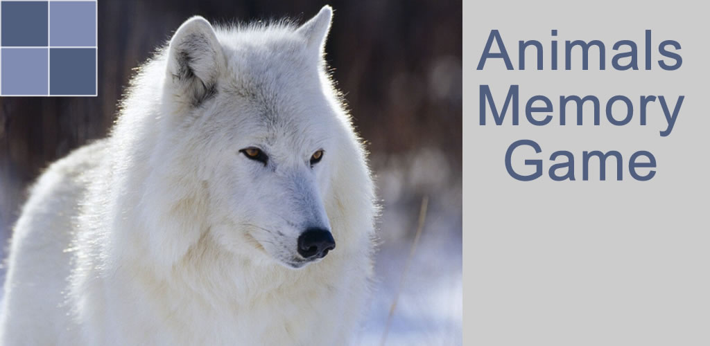 Animals Memory Game - App on Amazon Appstore