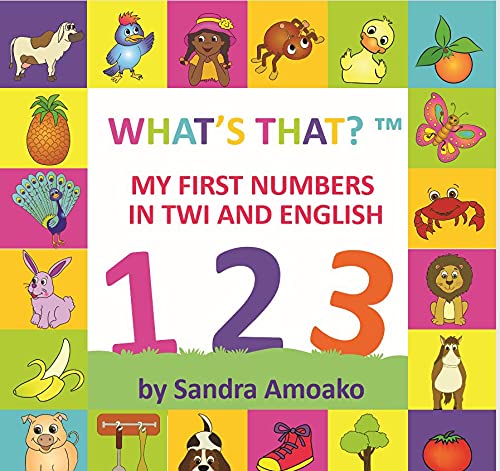 Everything You Need To Learn Twi - Language Hobo