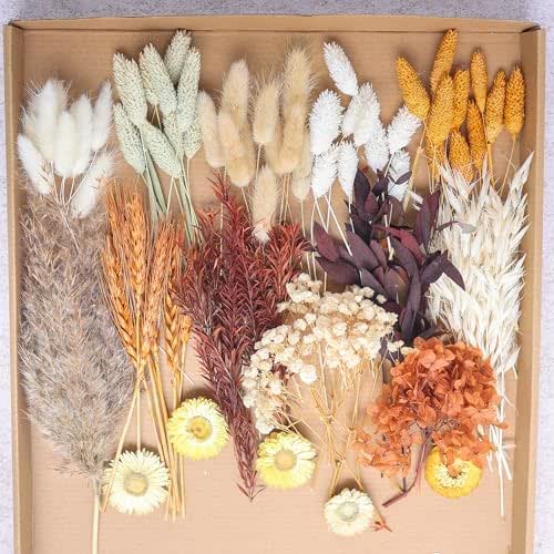 Amazon.com: DIY Dried Flower Set, Bulk Dried Flowers,Autumn Decoration ...