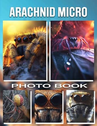 Arachnid Micro Photo Book: Explore 40 Intricate Images Of Tiny Spiders ...