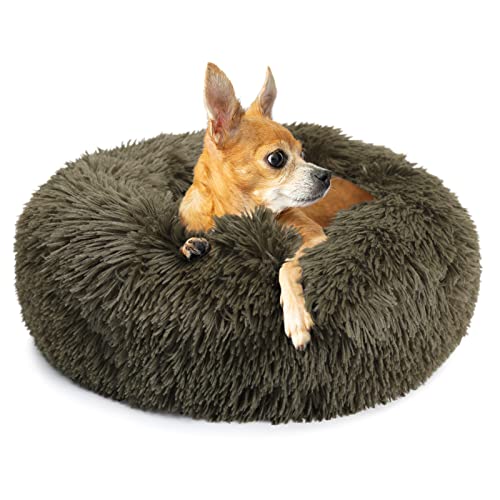 Ultimate Buying Guide: Top 10 Chewy.com Small Dog Beds That Your Pup ...