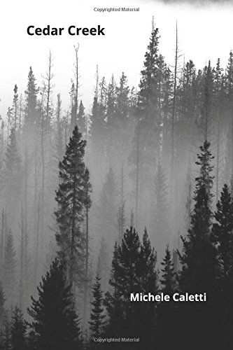 Cedar Creek (Italian Edition): Caletti, Michele: 9781973530060: Amazon ...