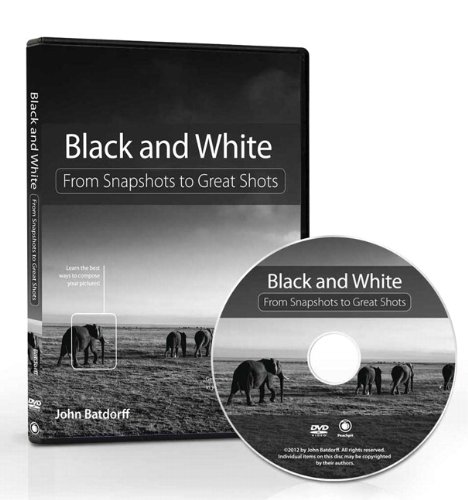 Amazon.com: Black and White: From Snapshots to Great Shots (DVD ...