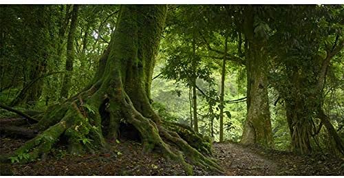 AWERT 120x50cm Deep Forest Terrarium Background Tropical Aquarium ...