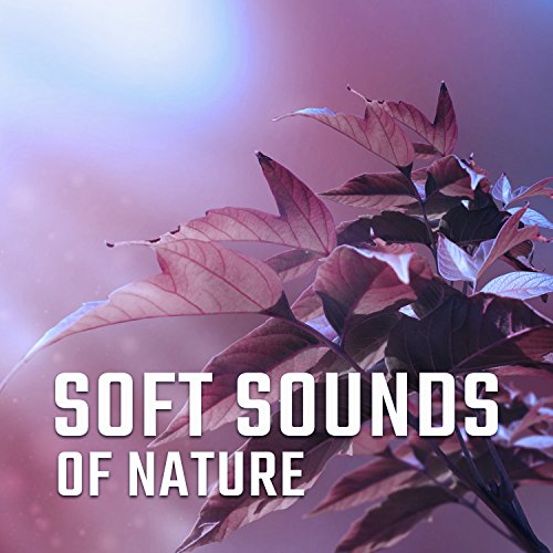 Amazon.com: Soft Sounds of Nature – Relax in Garden, Beach, Home ...