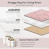 Aspire Homeware Rugs Living Room - Pink Area Rugs 50x80cm for Bedroom ...