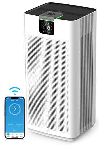 Find The Best Whole Home Air Purifiers Reviews & Comparison - Katynel