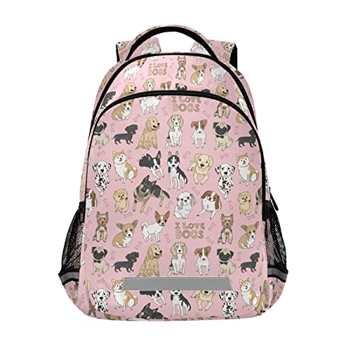 The Best Laptops for Elementary Students: A Guide to Finding the Ideal ...