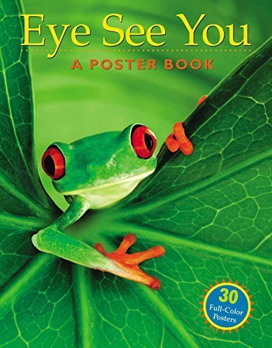 [Eye See You Poster Book] [By: ] [June, 2006] : Amazon.com.tr: Kitap