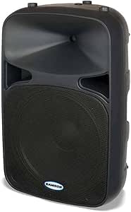 Samson Auro D15 15-Inch PA Speaker : Amazon.ca: Musical Instruments ...